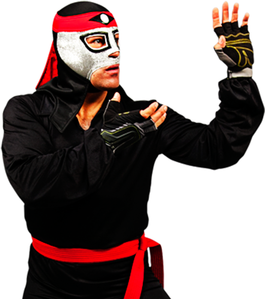 Luchador Wrestler Download - Octagon Aaa Lucha Libre - (543x600) Png ...
