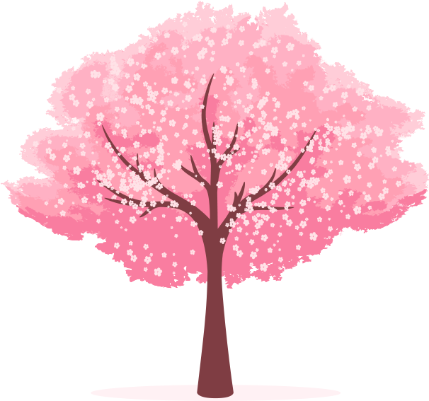 Cherry Blossom Clip Art Cartoon Cherry Blossom Tree 717x688 Png