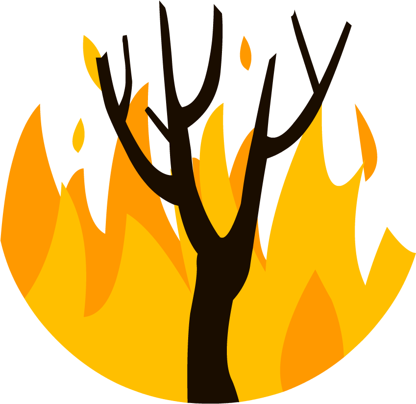Wildfires - Illustration - Full Size PNG Clipart Images Download