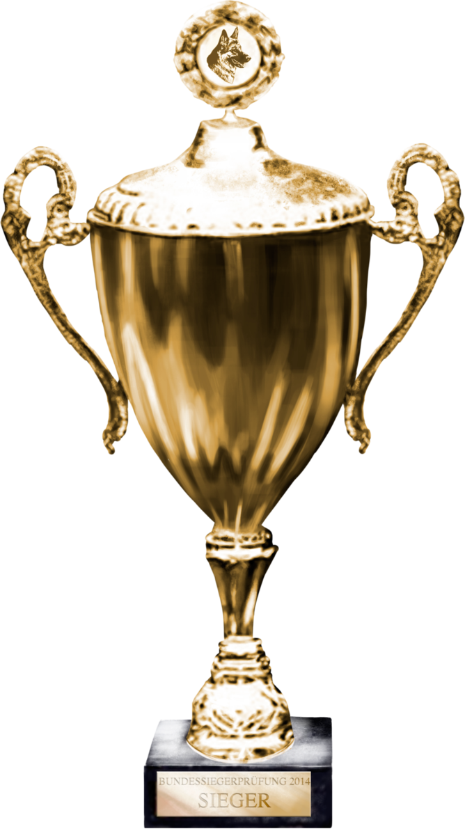 Bsp-sieger 2014 Trophy By Stiir - Trophy With Transparent Background - (668x1194) Png Clipart ...
