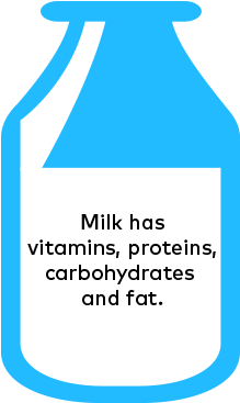 Fun Milk Facts - Fun Milk Facts - (300x400) Png Clipart Download
