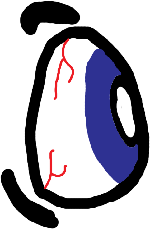 Dramatic Eye - Agk Eye - (647x970) Png Clipart Download