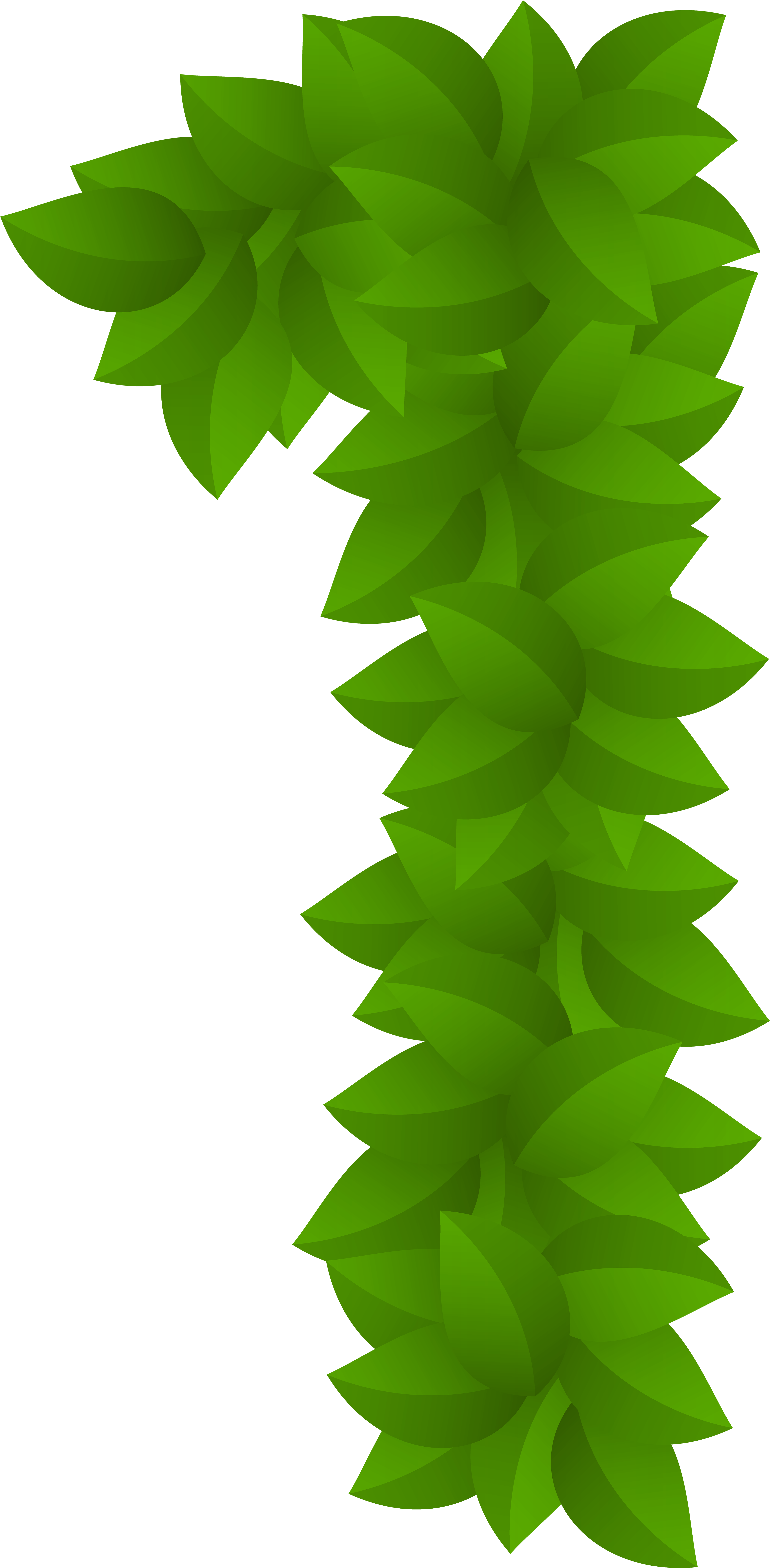 Leaf Number One Green Png Clip Art Image - Clip Art - (3929x8000) Png ...
