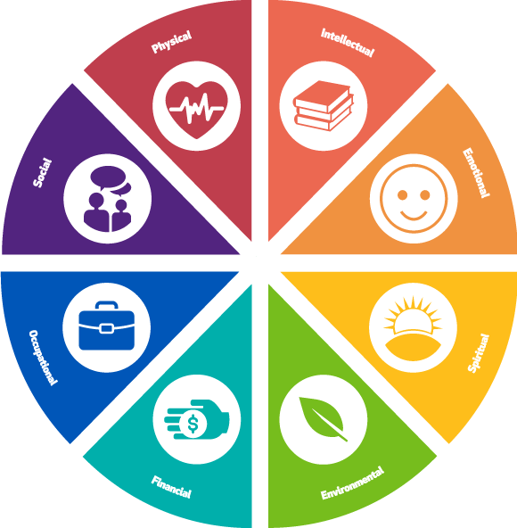 Physical Wellness - 8 Dimensions Of Wellness - (580x592) Png Clipart ...