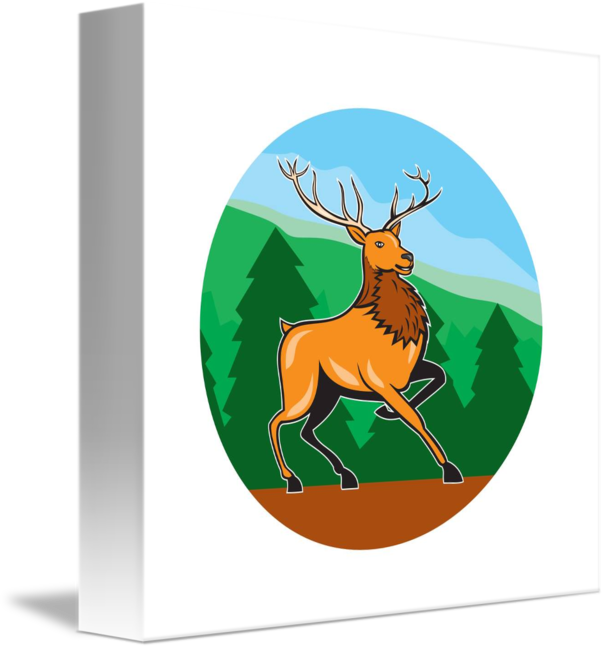 Elk - (606x650) Png Clipart Download
