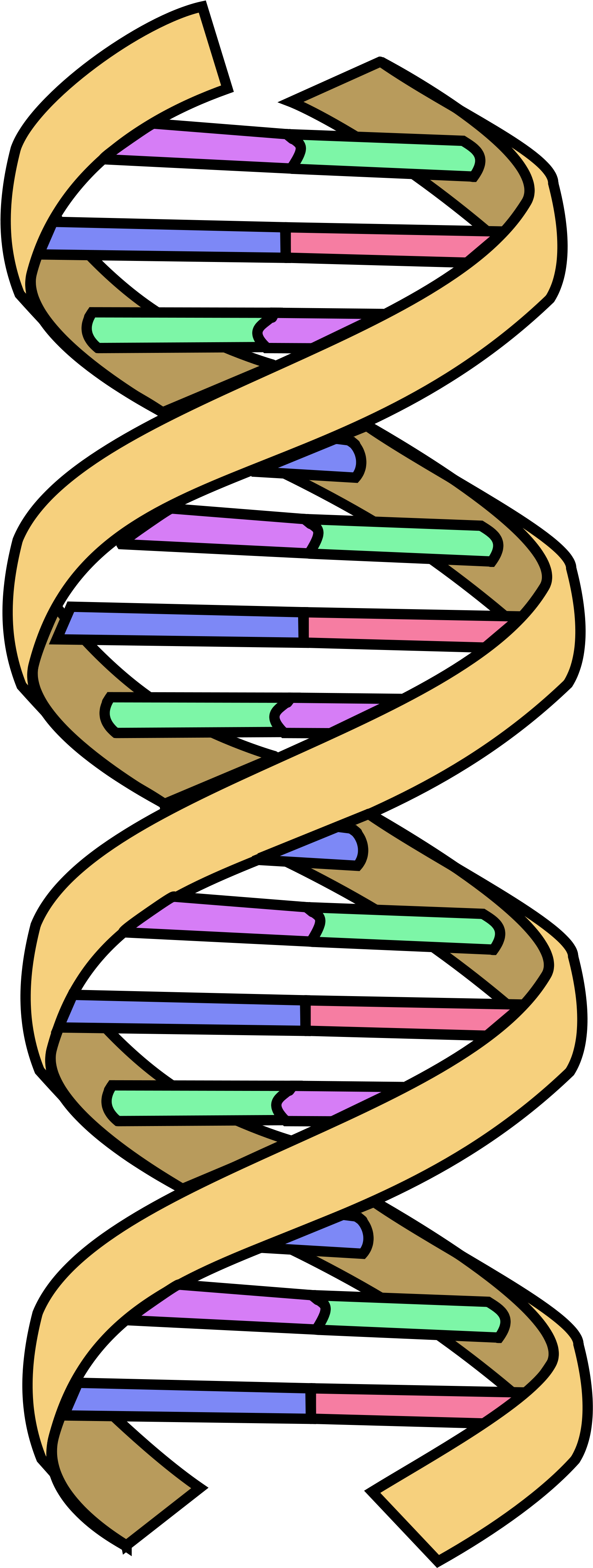 Open - Dna Simple Diagram - (2000x4737) Png Clipart Download