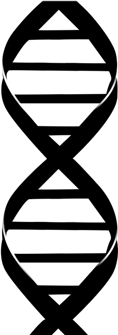 Dna Drawing - Full Size PNG Clipart Images Download