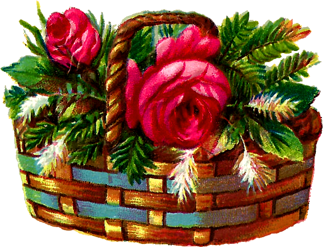Flower Rose Basket Illustration Digital - Clip Art - (796x573) Png ...