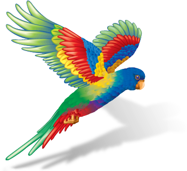 Flying Colours - (500x334) Png Clipart Download