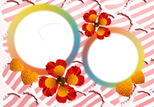 Frame Flower - Picture Frame - (512x358) Png Clipart Download