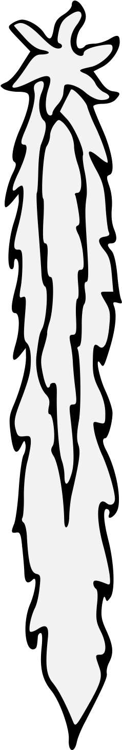 Comet - Line Art - (267x1462) Png Clipart Download