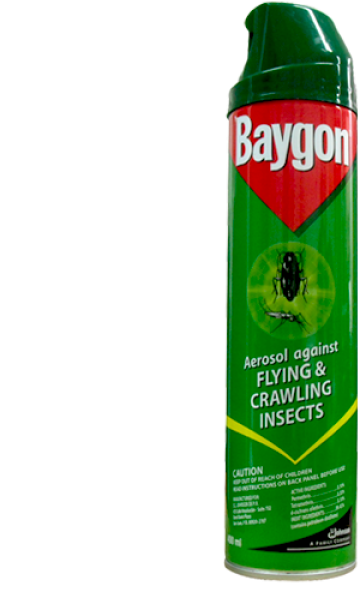 Baygon 300ml - (600x600) Png Clipart Download