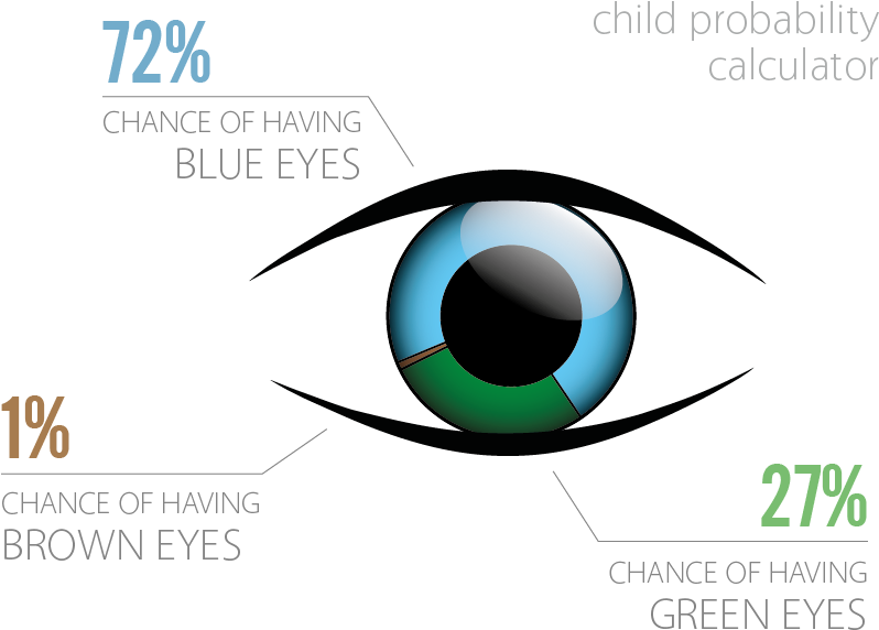 Chromo2 Blue Eyes Child Probability Calculator - Chance Of Having Blue ...