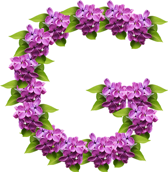 Album - English Alphabet - (600x600) Png Clipart Download