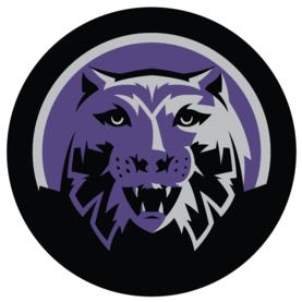 Bring On The Cats - Kansas State Wildcats Football - (400x320) Png ...