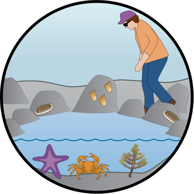 Ian Symbol Human Access Management - Travel + Leisure - (400x400) Png ...