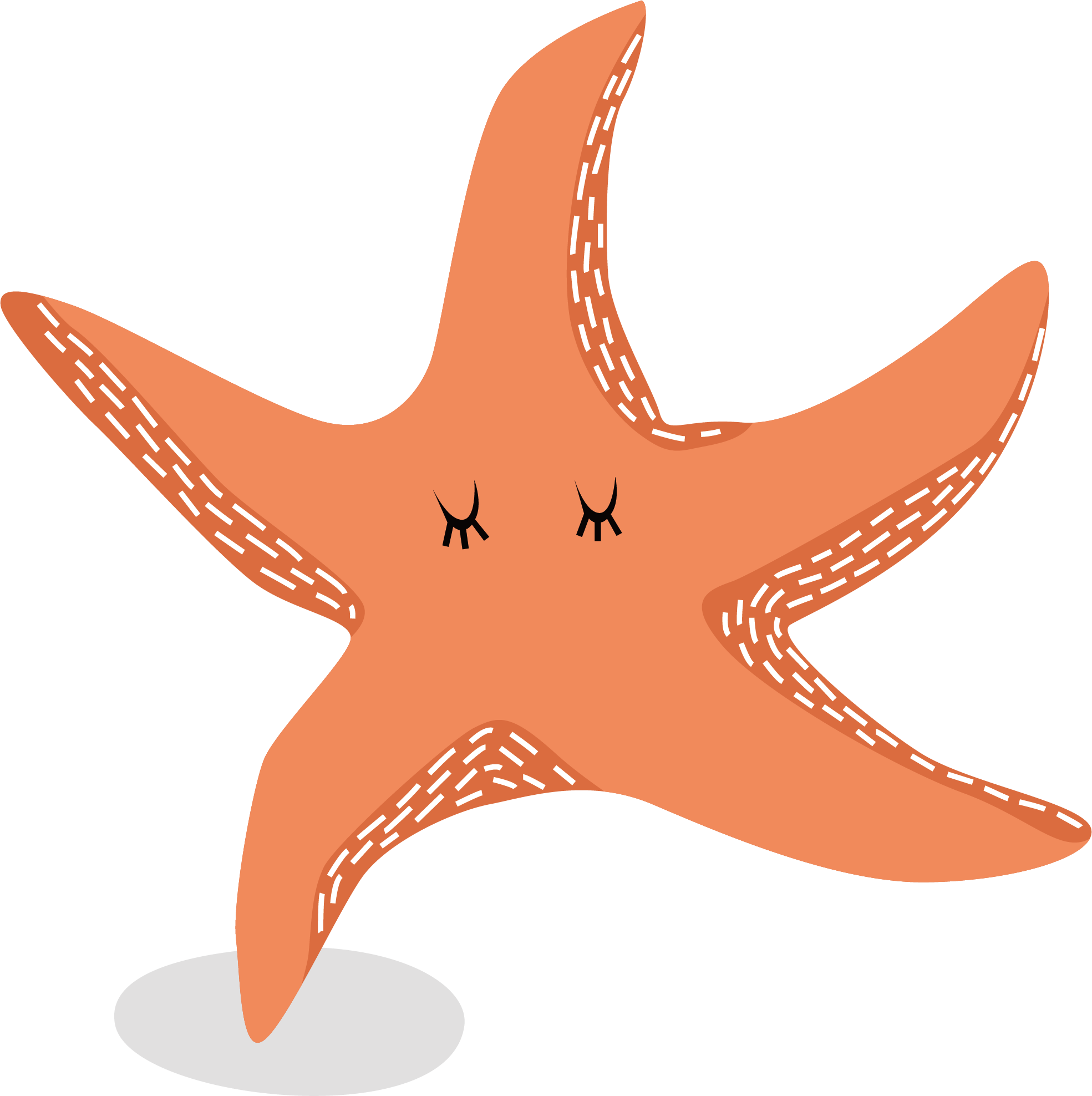 Starfish Euclidean Vector - Starfish Euclidean Vector - (1969x1976) Png ...