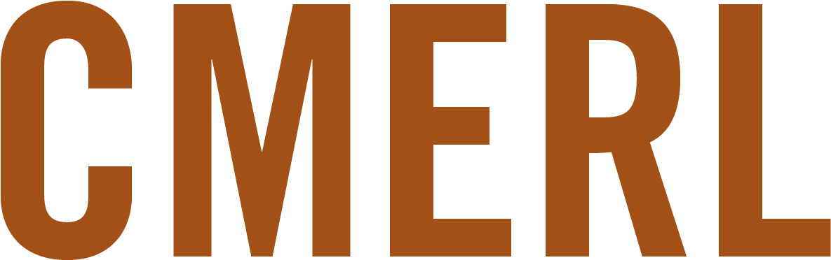 Cardiovascular Modeling And Experimentation Research - Morning Recovery ...