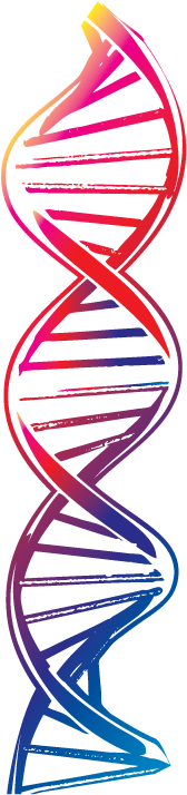 Services - Transparent Background Dna Png - Full Size PNG Clipart ...