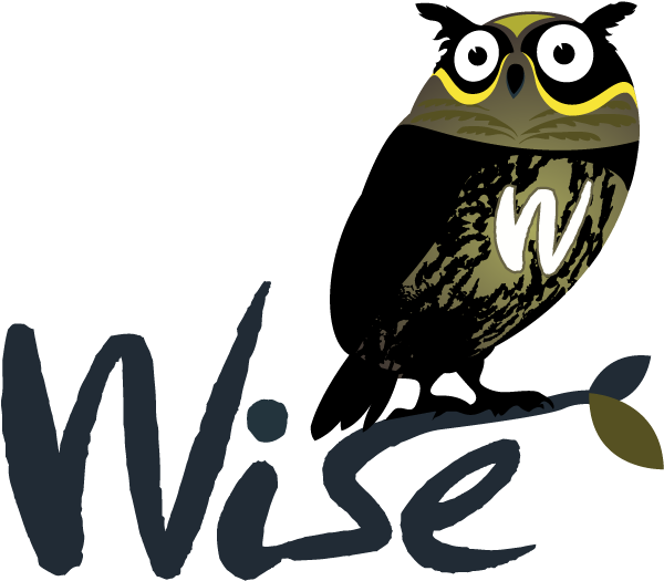 Wise Logo - Owl Logo Design .png - (600x600) Png Clipart Download