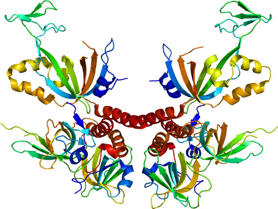 Protein Strand - (937x717) Png Clipart Download