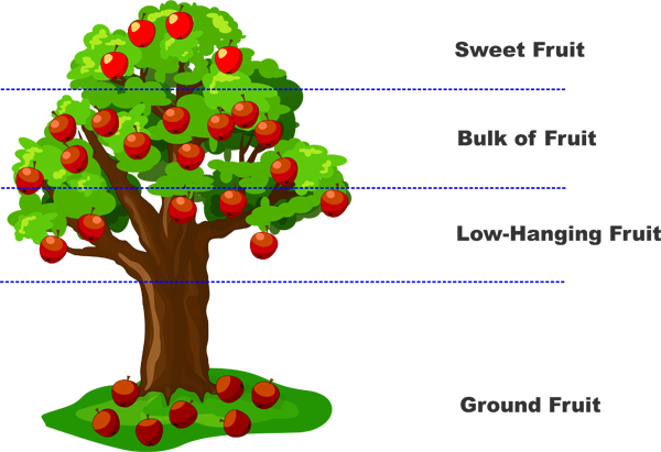 Apple Tree - Lean Low Hanging Fruit - (600x411) Png Clipart Download