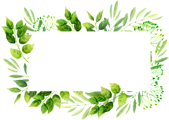 Rectangular Leaf Frame Png Transparent Material - Wedding Leaves Border - (650x441) Png Clipart ...