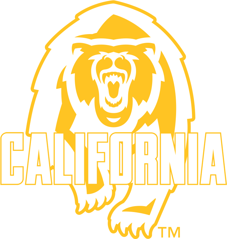 Cool College Football Helmets 2013 - Cal Bears Football Logo - (800x800 ...