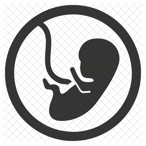 Embryo Icon - Baby Icon Png - (512x512) Png Clipart Download