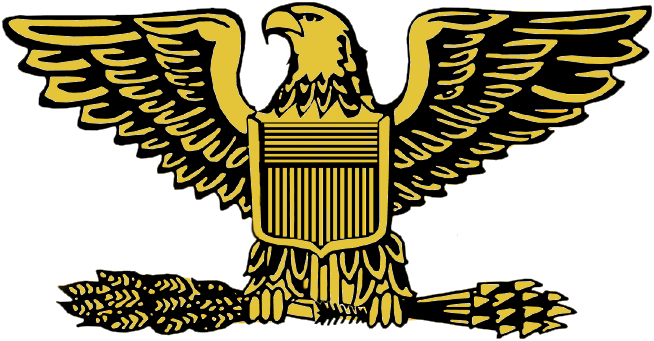 Colonel Gold - Air Force Colonel Insignia - (654x341) Png Clipart Download