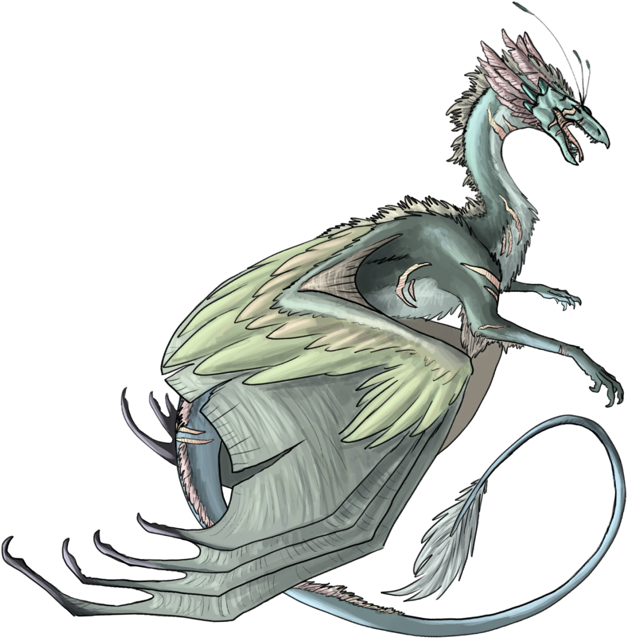 The Dracopedia Project - Illustration - (1280x1324) Png Clipart Download