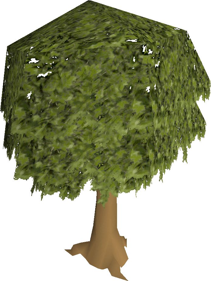 Oak Tree - Runescape Tree - (694x926) Png Clipart Download