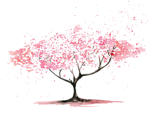 Image - Cherry Blossom Tree In Mulan - (500x403) Png Clipart Download