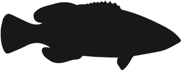 Grouper - Silhouette - (500x500) Png Clipart Download