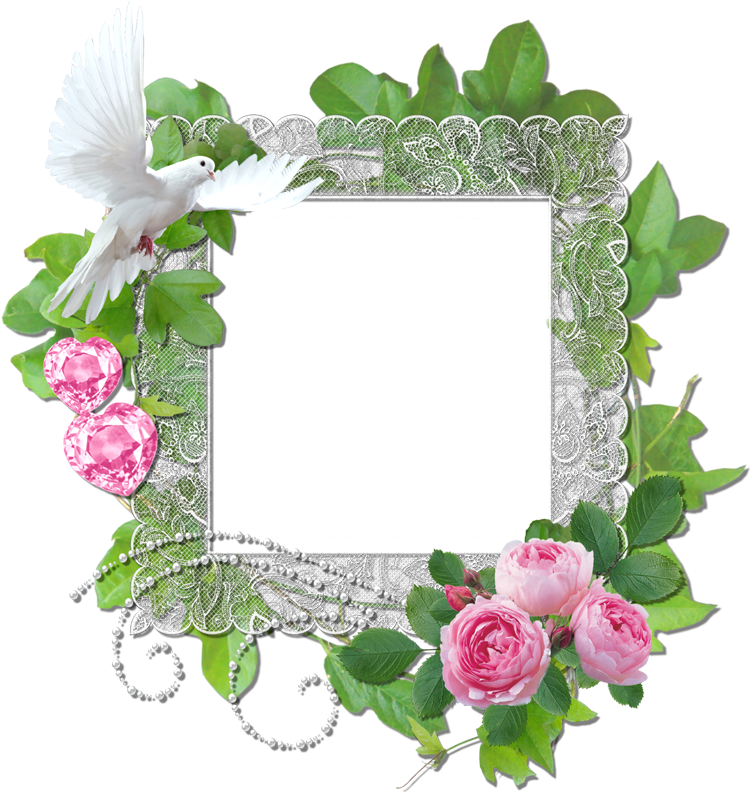 Pink Roses Cluster Frames - Picture Frame - (800x800) Png Clipart Download