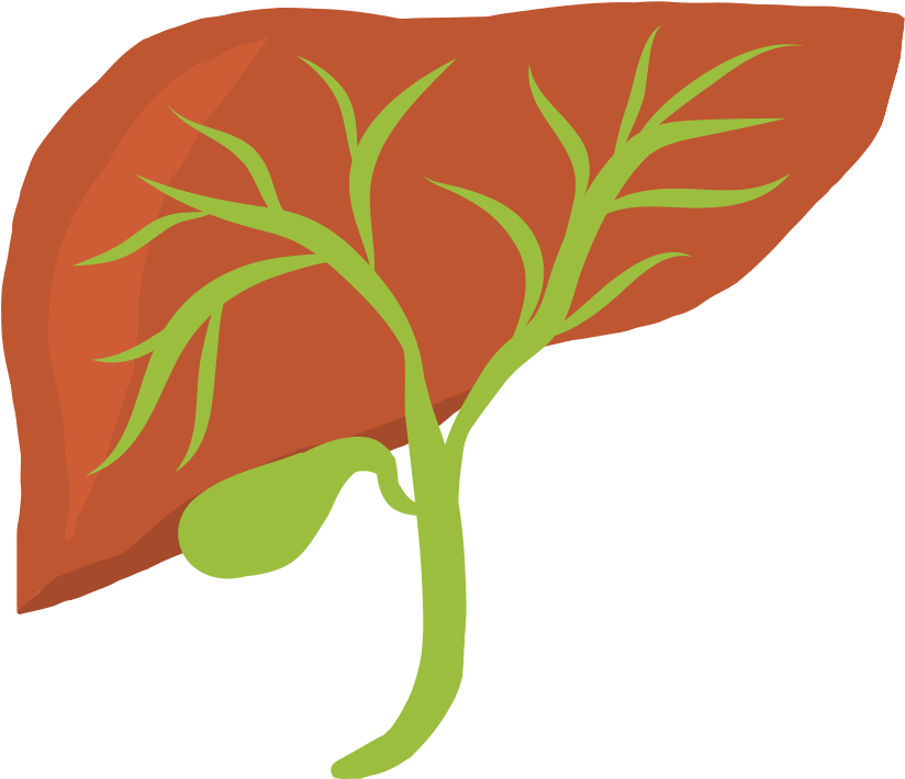 Laparoscopic Cholecystectomy - Laparoscopic Cholecystectomy - (1024x768 ...