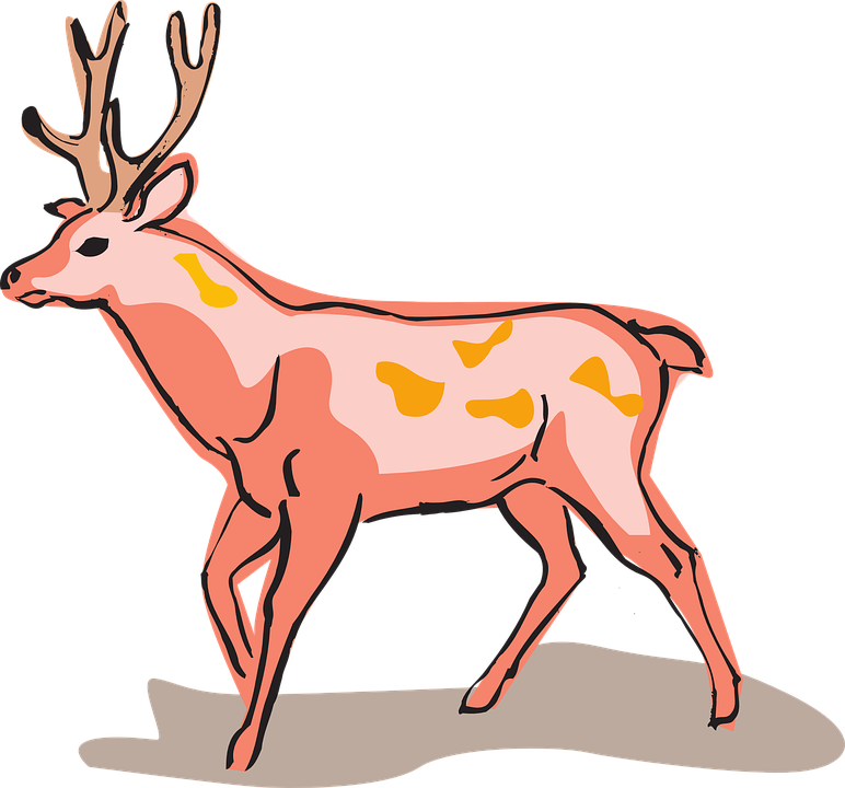 Red Deer Style Wild Animal Unusual - Red Deer Easy Drawing - (772x720 ...