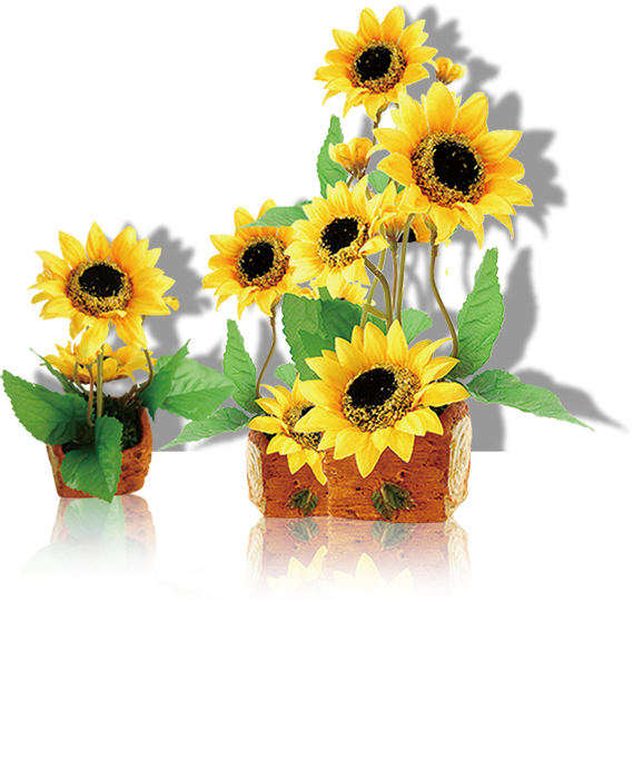 Common Sunflower Computer File - Common Sunflower Computer File ...