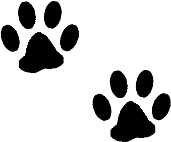 Paw Print Clipart No Background - 2 Dog Paw Prints - (376x344) Png ...
