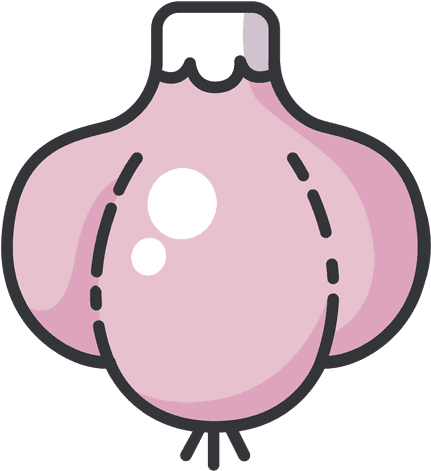 Garlic Color Icon Transparent Png - Garlic - Full Size PNG Clipart ...