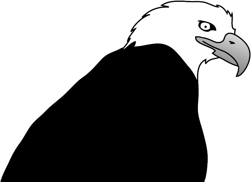 Bald Eagle Clipart Bald Eagle Full Size Png Clipart Images Download