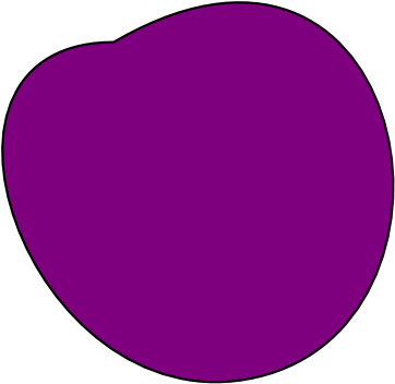 Plum Shape Graphic Clip Art At Clker - Circle - (600x600) Png Clipart ...