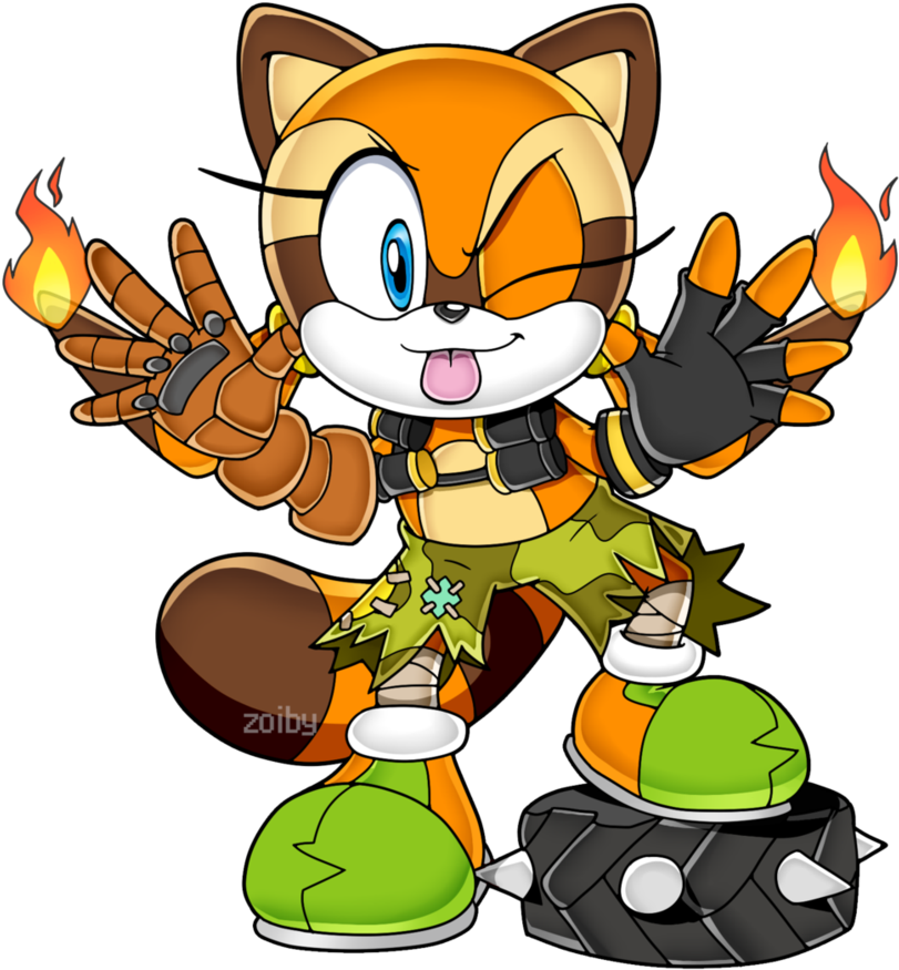 Zoiby Sonic Rush Segasonic The Hedgehog Amy Rose Cartoon - Sonic ...