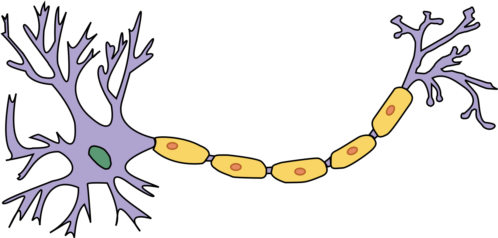 Unlabeled Brain Diagram 20, Buy Clip Art - Neuron Without Labels ...