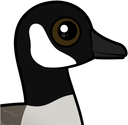 About The Canada Goose - Canadian Goose Cartoon - Full Size PNG Clipart ...