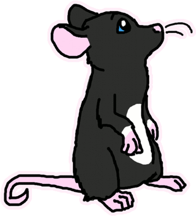 Animated Rat Gif - Rat Animated Gif - (480x480) Png Clipart Download