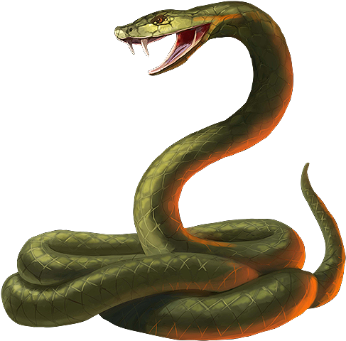 Snake - Snake Png - (512x512) Png Clipart Download