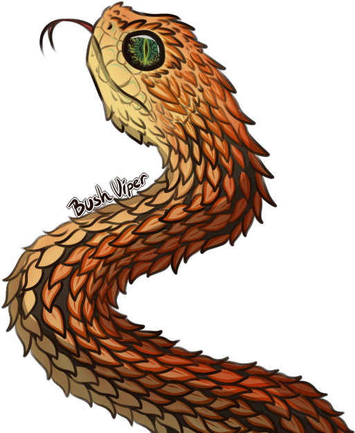 View Collection - Bush Vipers - (525x625) Png Clipart Download
