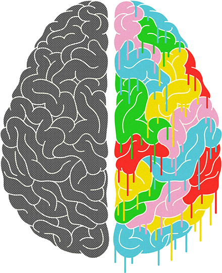 Math Transparent Picture Free Download Clip Art Free - Brain Png ...