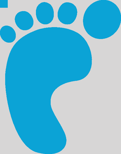 Red And Blue Footprint Clipart Blue Footprints Clipart - Life Cycle Key ...